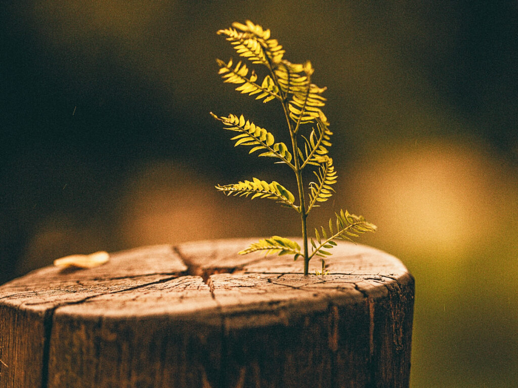 CREATING AN ADAPTIVE BUSINESS MODEL IN 2023 - Exit Launchpad